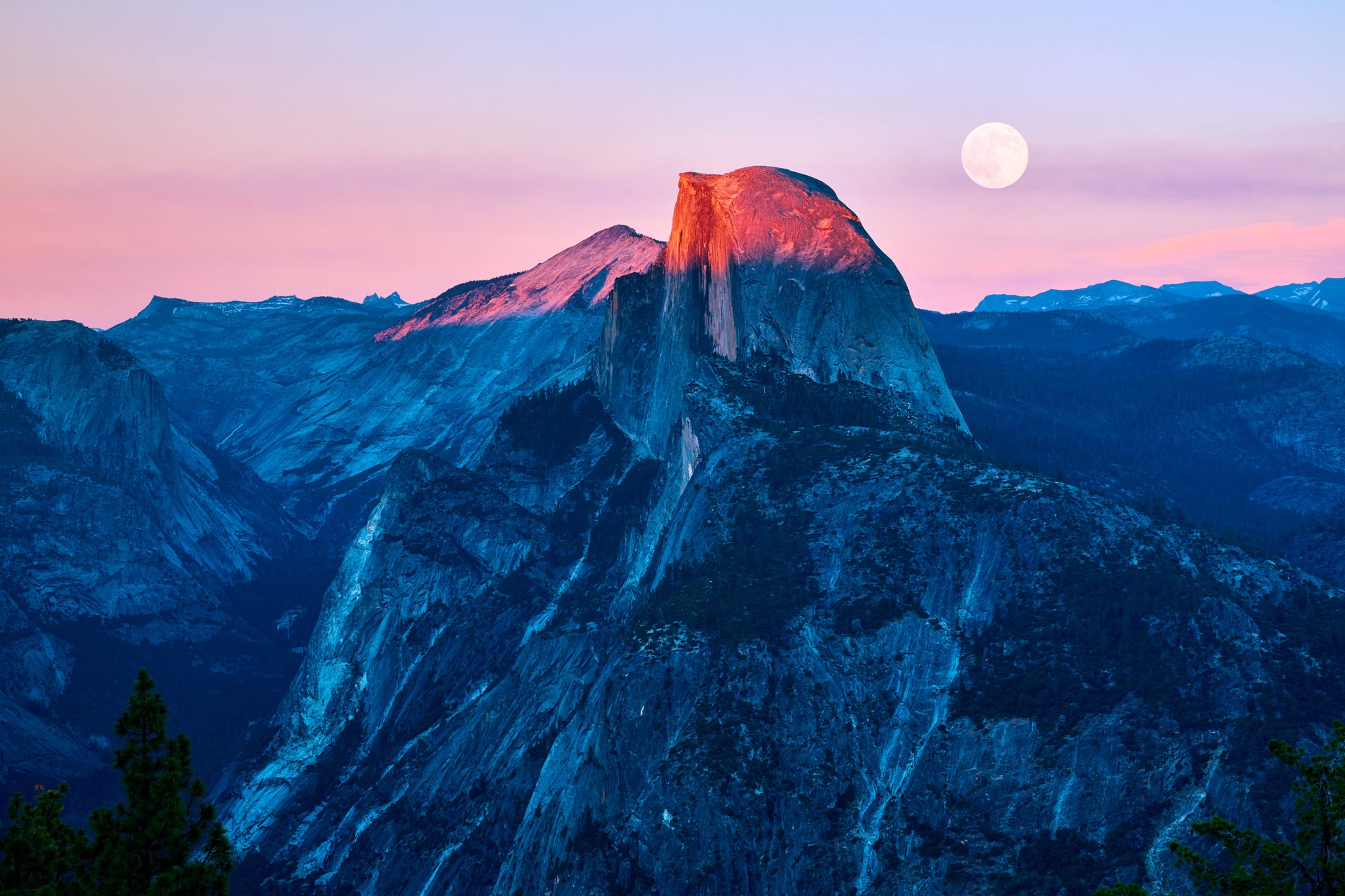 gettyimagesgallery – Getty Images Gallery